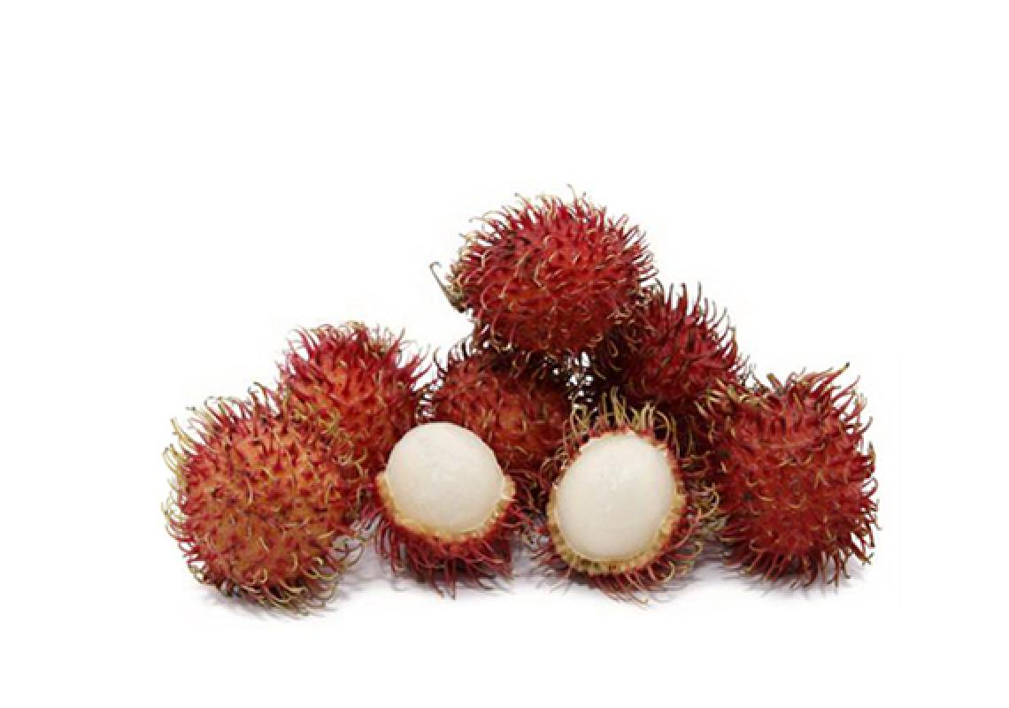 Rambutan Pomona Export